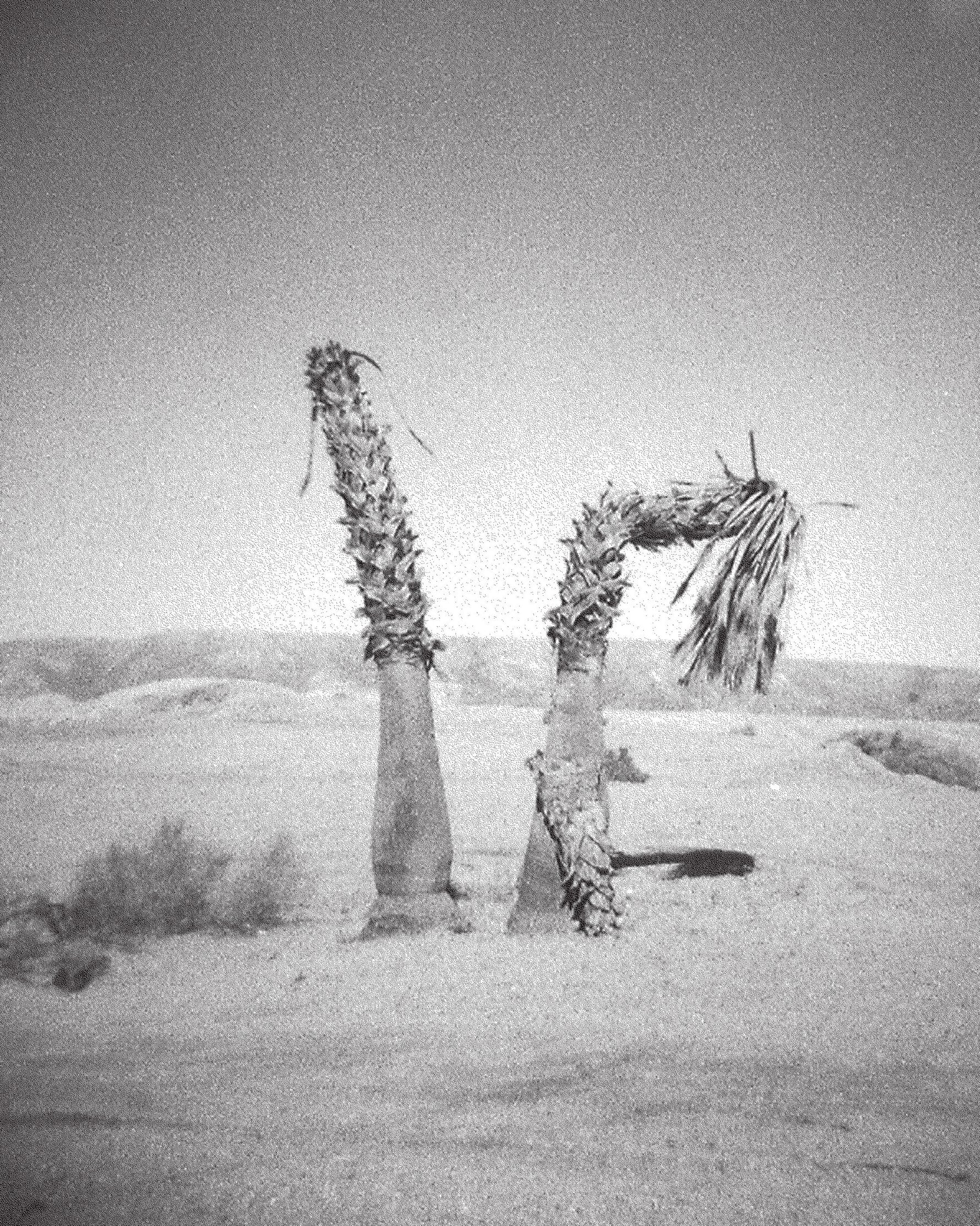 Art & design gallery, shop and apparel brand in Wicker Park – Public Works